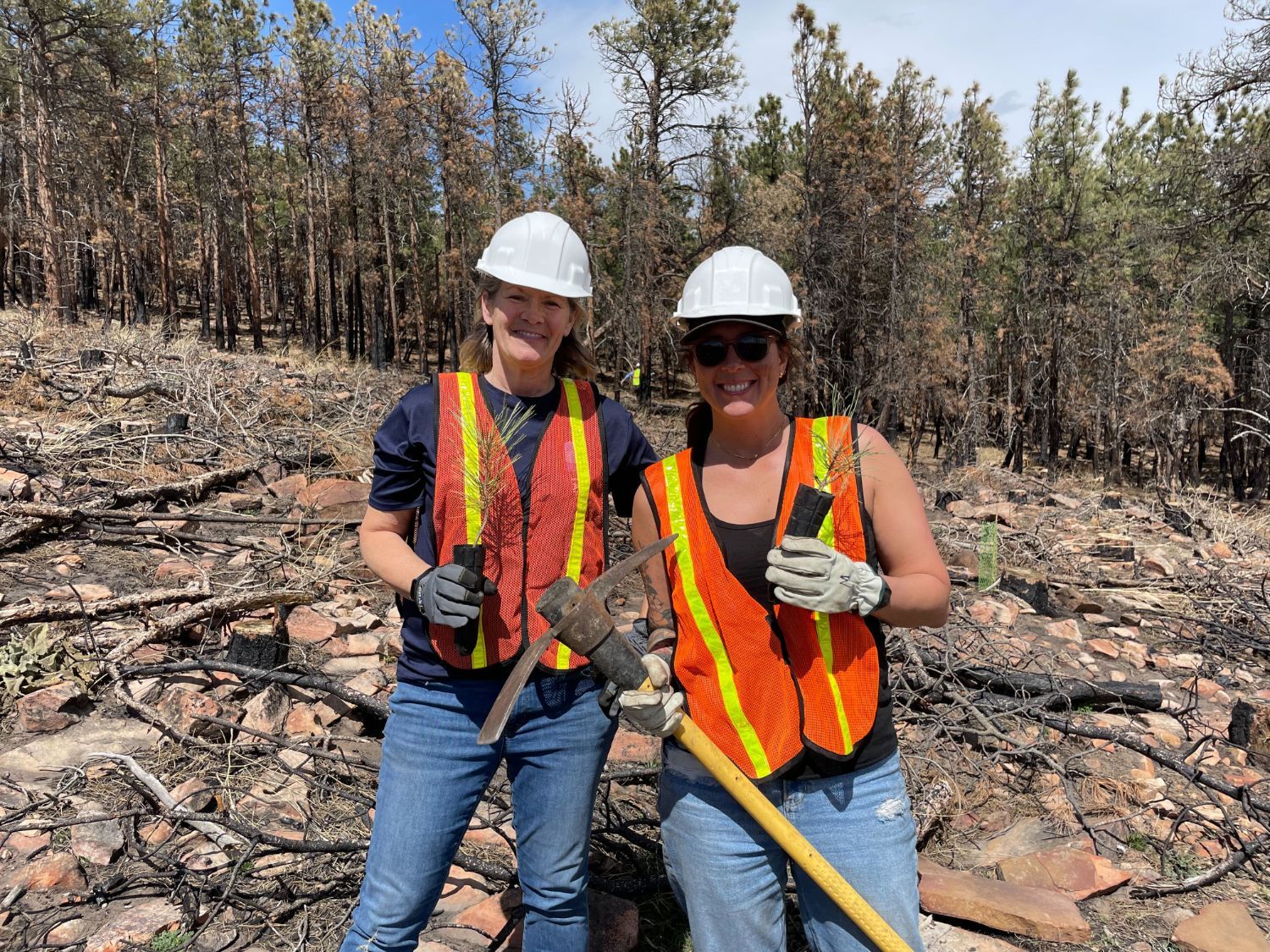 Heil Valley Ranch Fence Building Project